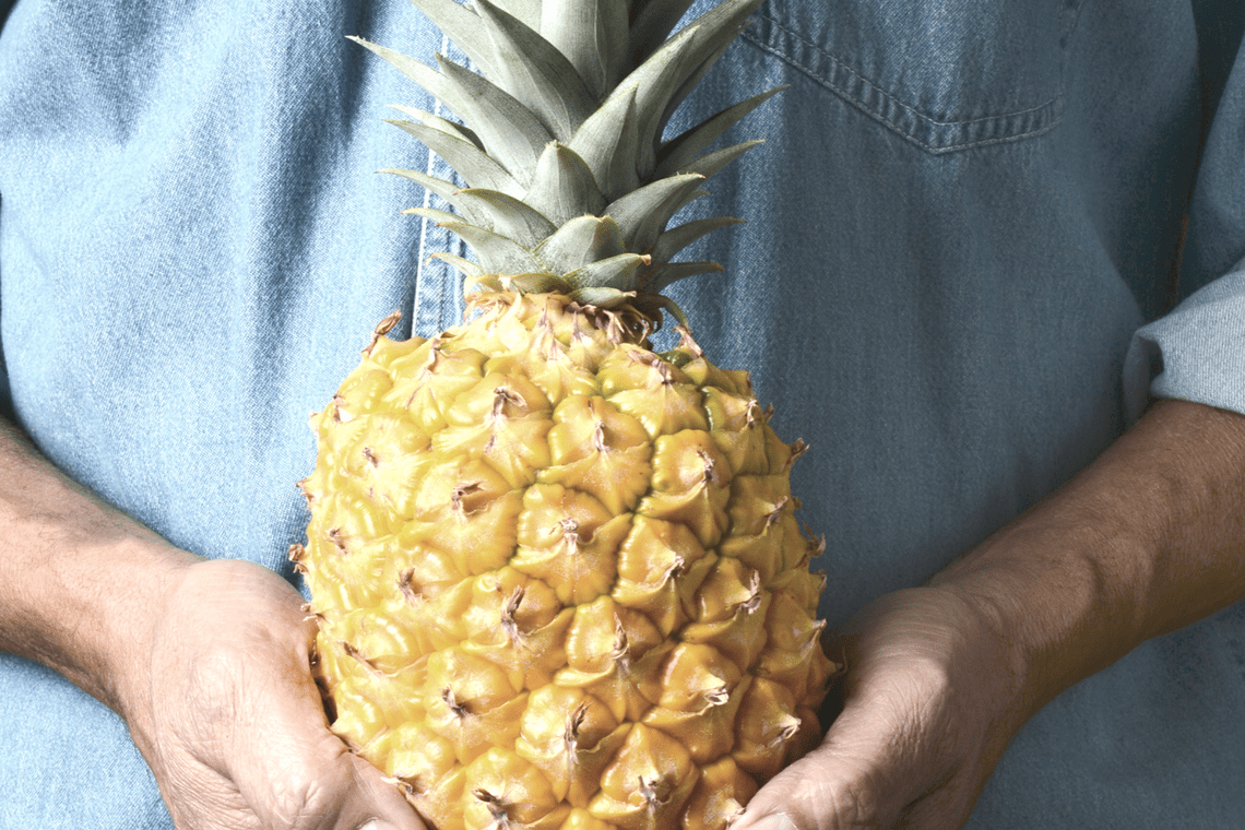 Color Combination Pineapple in Hand - Canva's Design Wiki