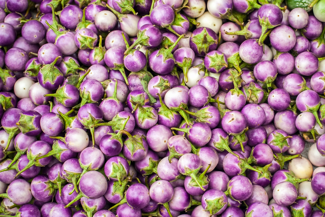 Color Combination Unripe Fruit Bed - Canva's Design Wiki