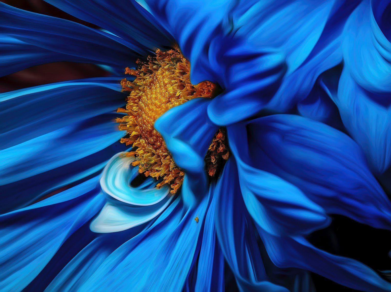 8 Tips for Macro Photography Beginners