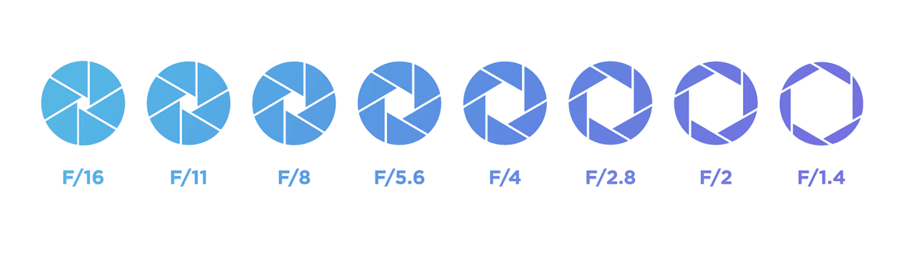 The ultimate guide to improving your photography