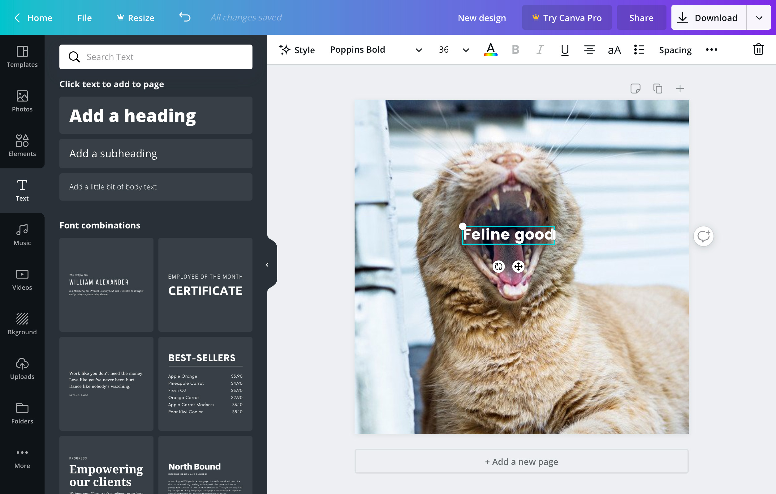 Add Text To Photo Online for Free | Canva