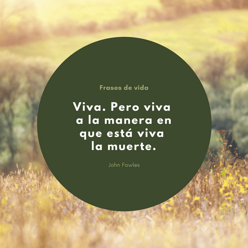 Frases de vida - imágenes y reflexiones de vida para compartir - Canva