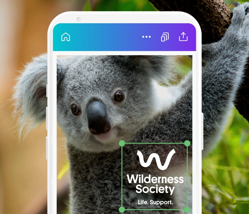 How nonprofit organizations are empowered with Canva