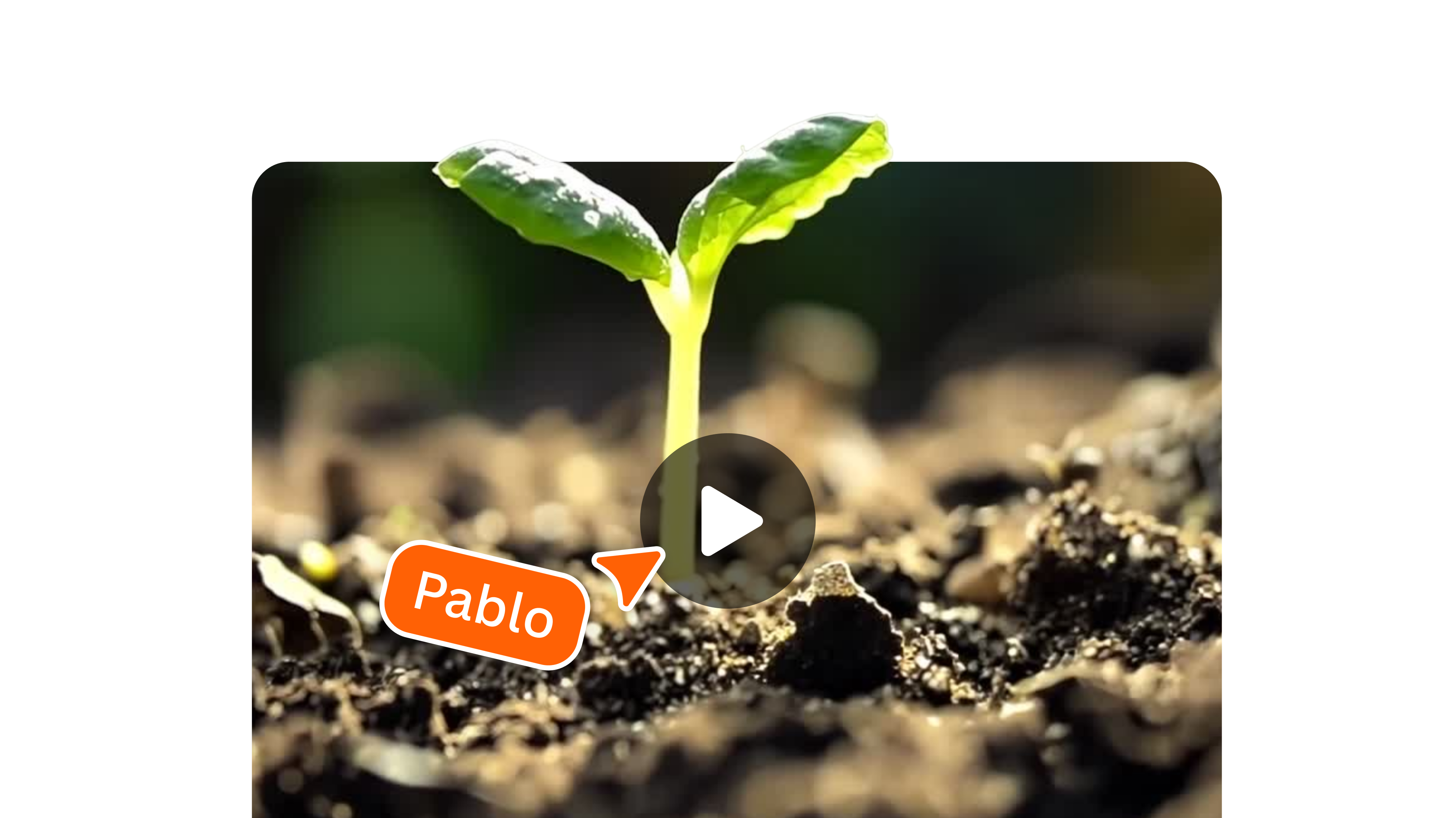 Cheatsheets - Canva Design School