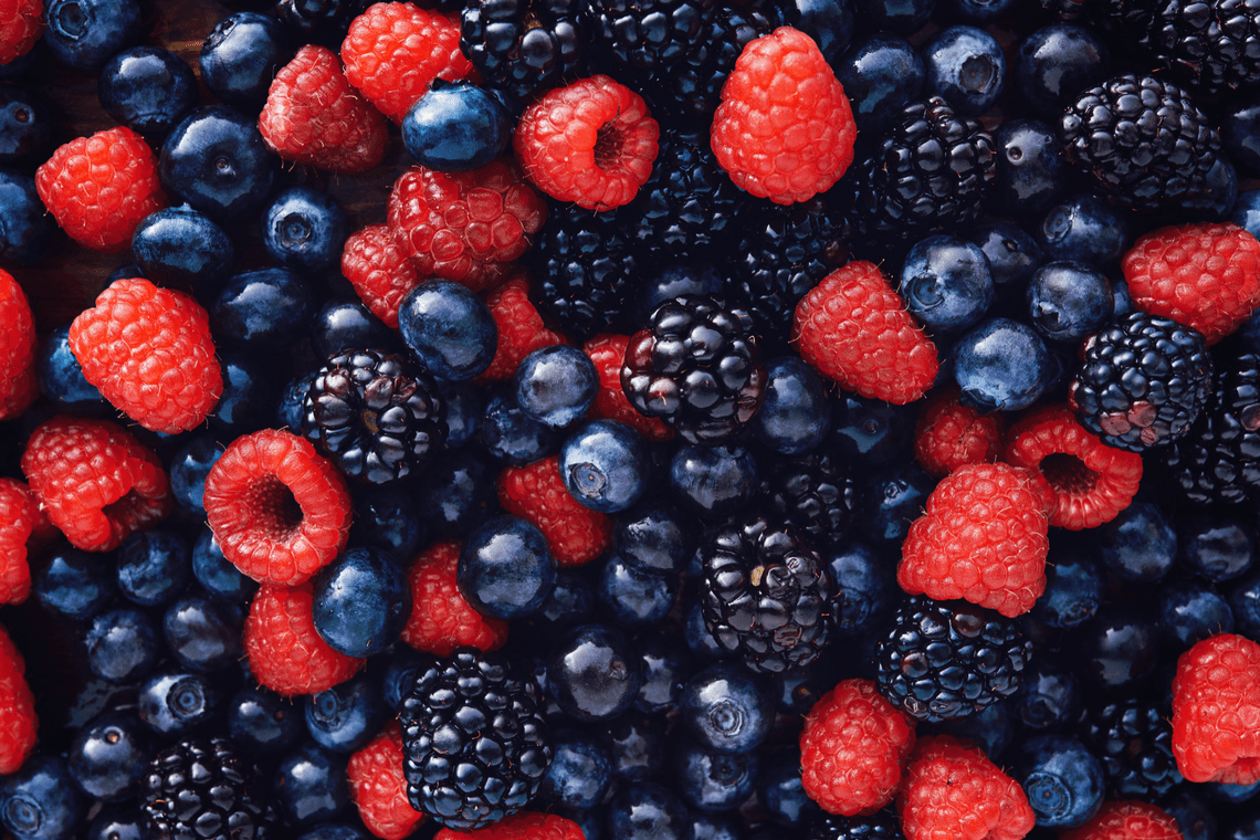 Color Combination Berry Rich - Canva's Design Wiki