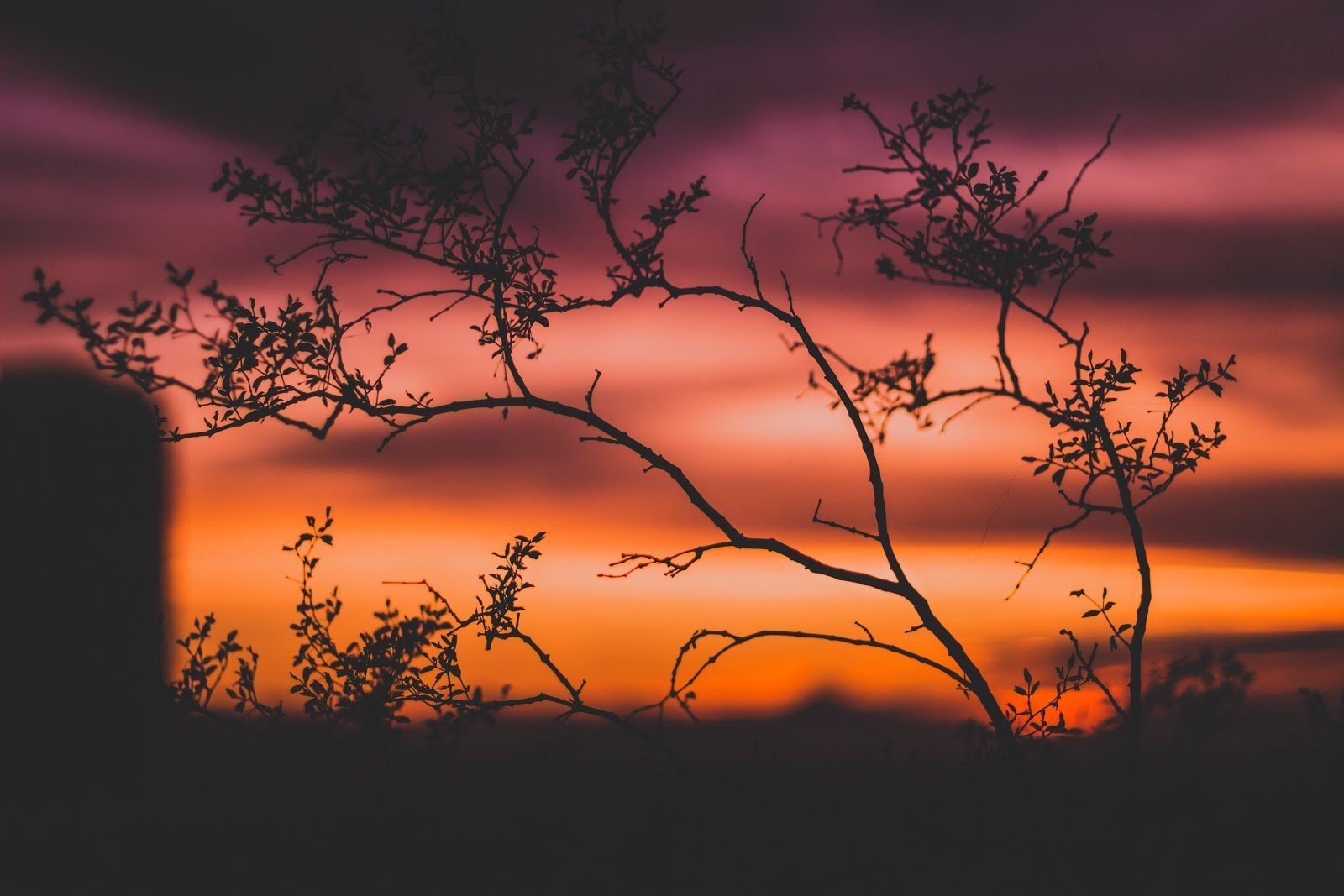 8 Practical tips to help you capture the golden hour | Canva