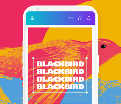 How Blackbird transformed their business and culture with Canva