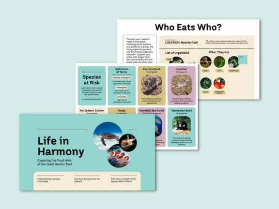 Free & Premium Templates - Canva