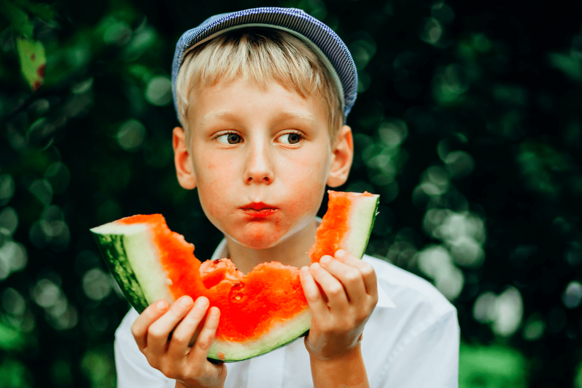 Color Combination Watermelon Stain - Canva's Design Wiki