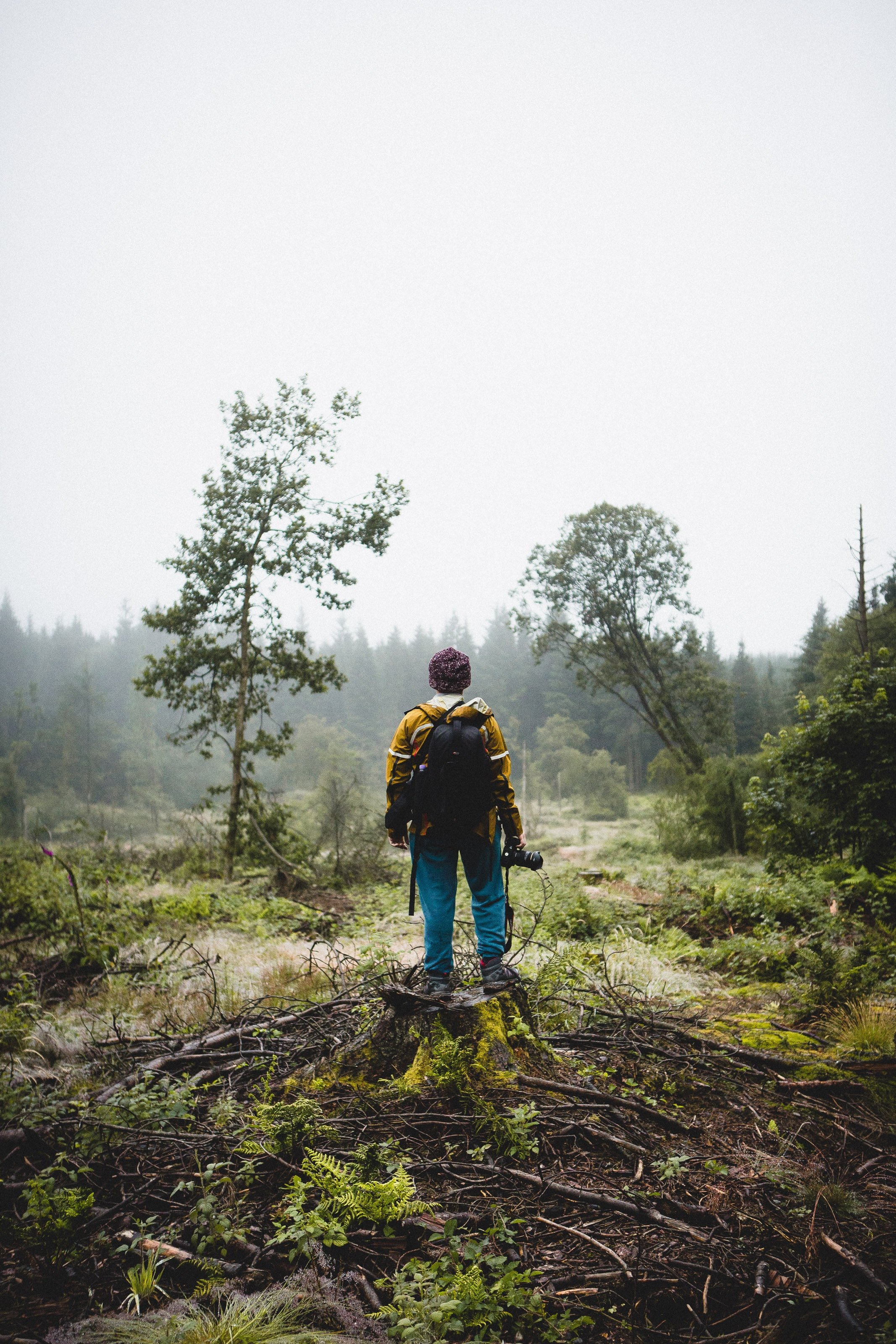 11 essential tips to selling your very first stock photo