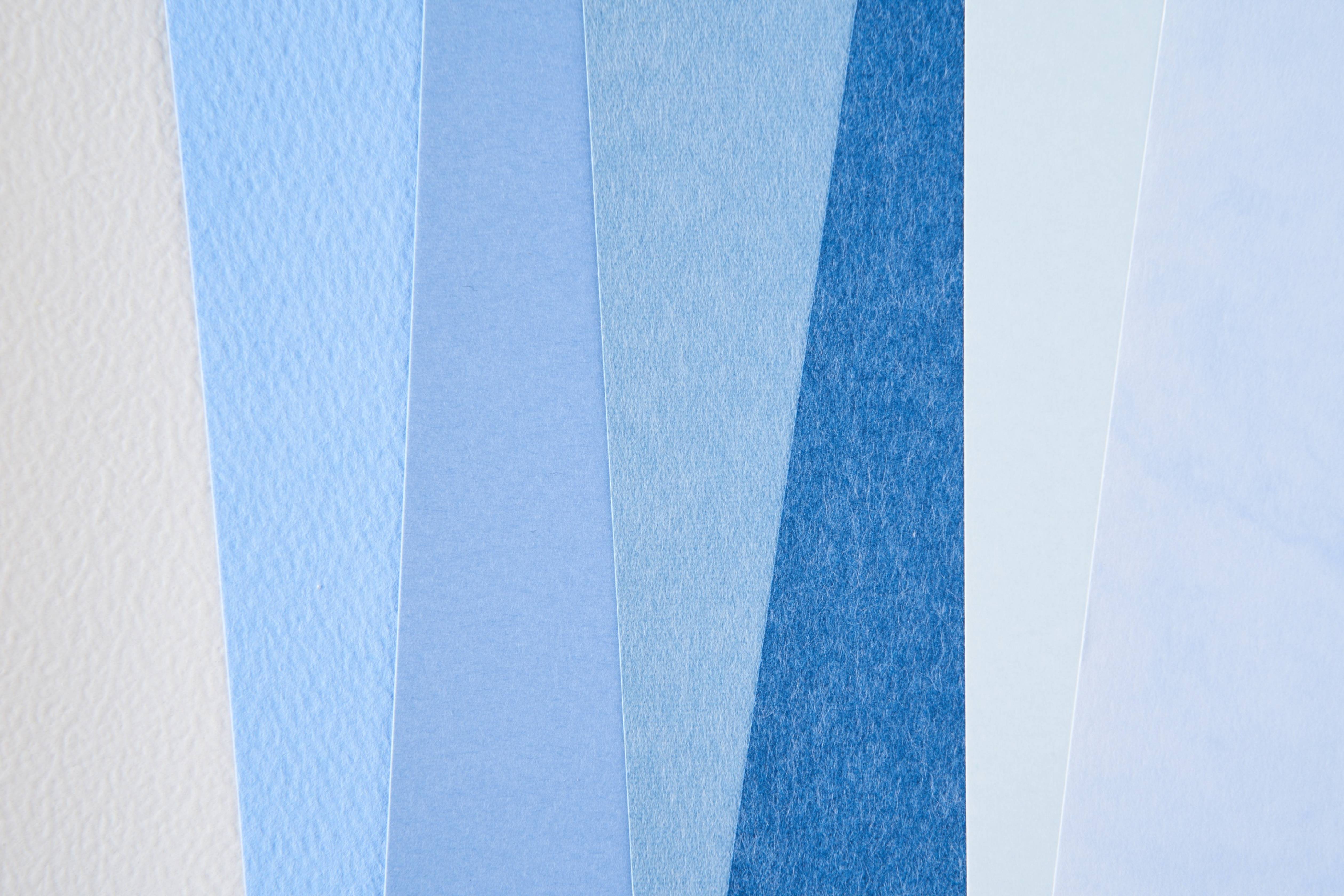 Fitur Background Biru untuk Pas Foto | Canva