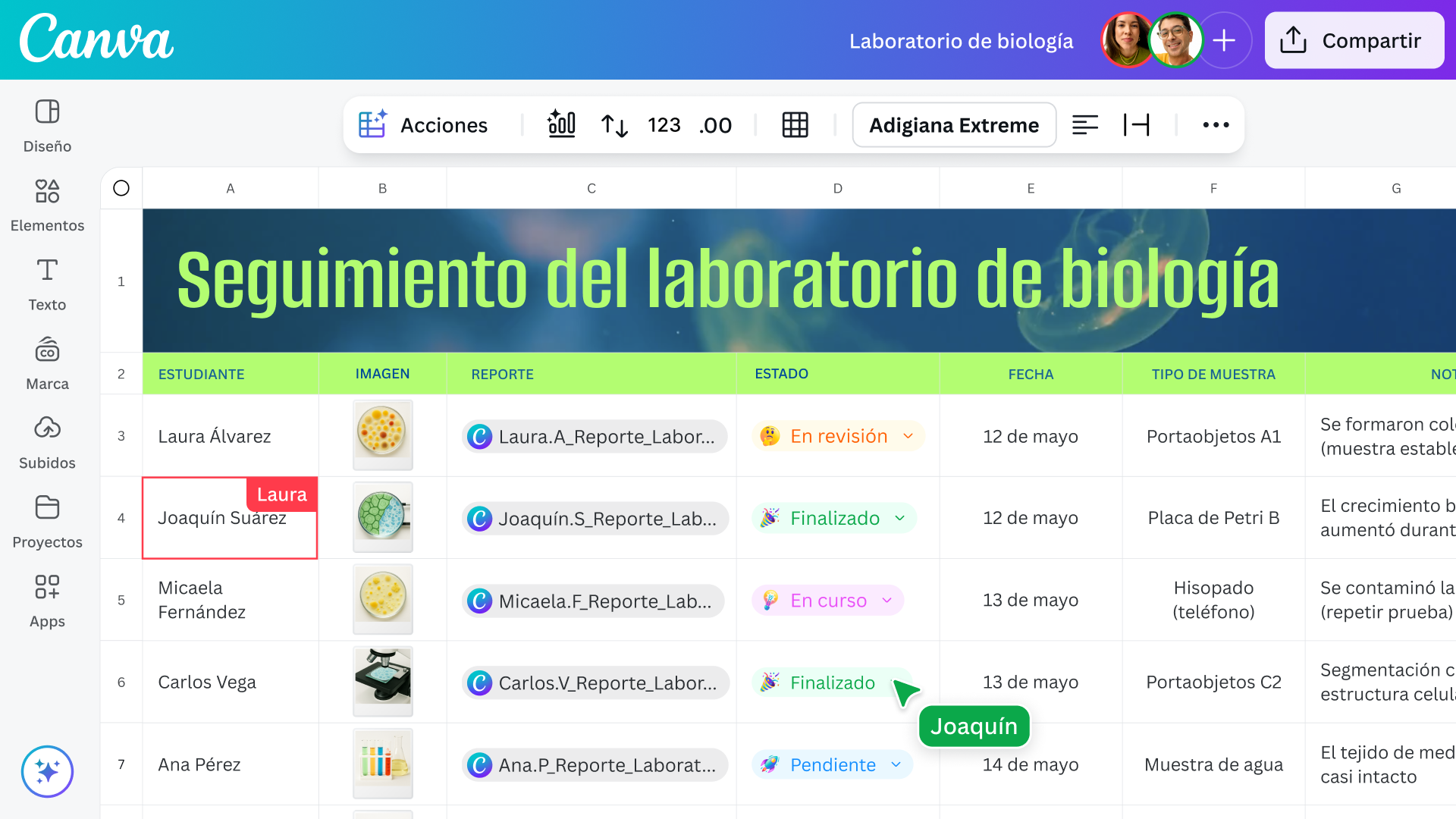 Herramienta de diseño y presentaciones gratuita para estudiantes | Canva