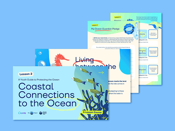 Customize 789+ Lessons Templates Online - Canva