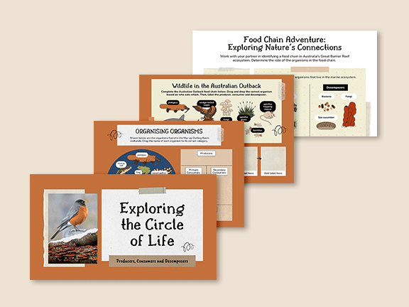 Free & Premium Templates - Canva