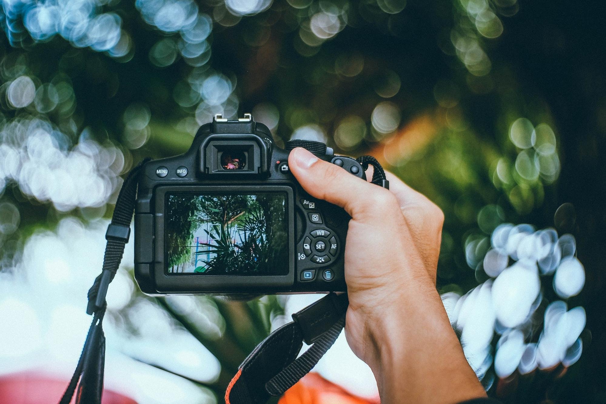 7 ways to achieve a beautiful bokeh effect in your photos (with ...