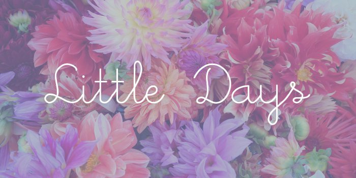 60 free lettering fonts | Canva
