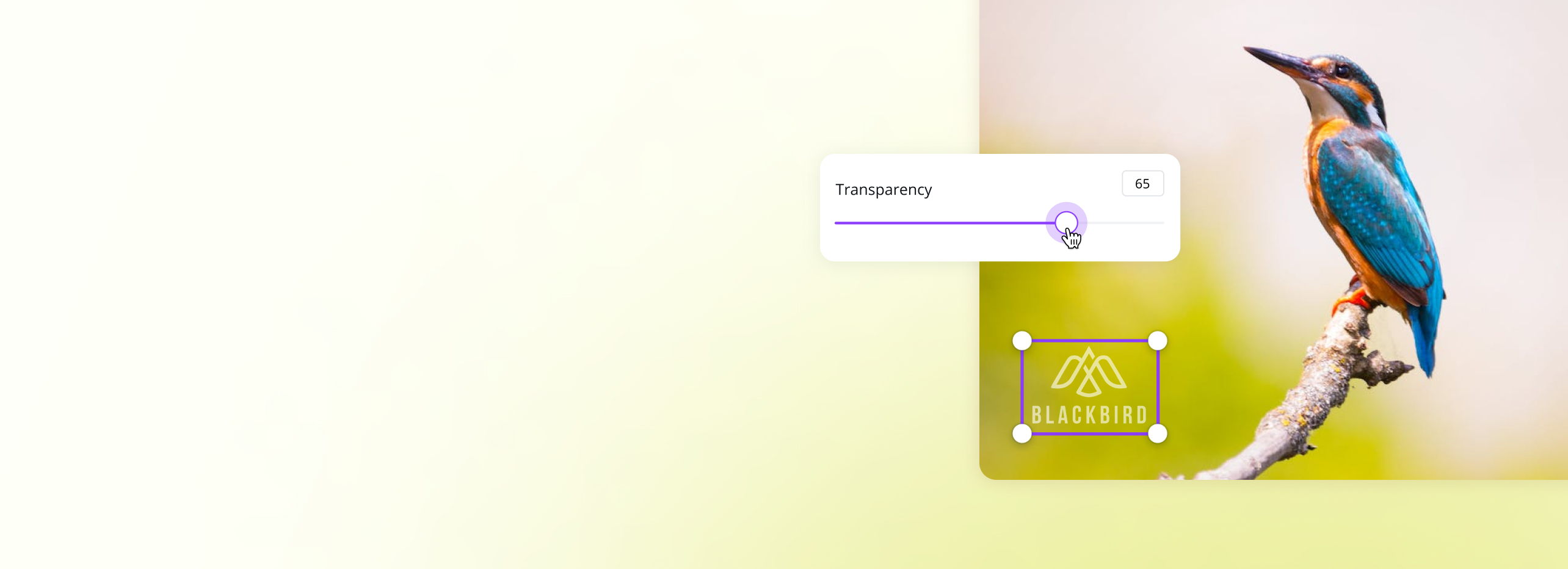 Watermark Photos - Add Watermark to Photos for Free | Canva