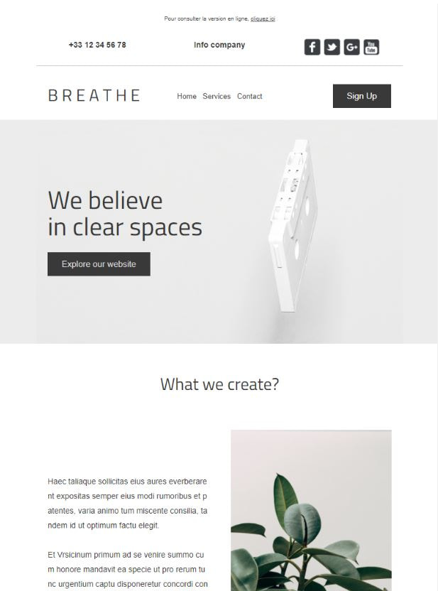 Le top 50 des templates de newsletter design gratuits | Canva
