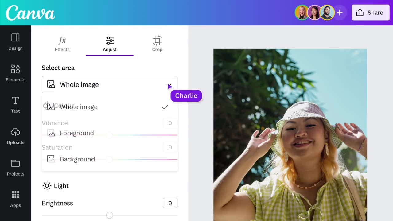 Descargar Editor De Imágenes Gratuito