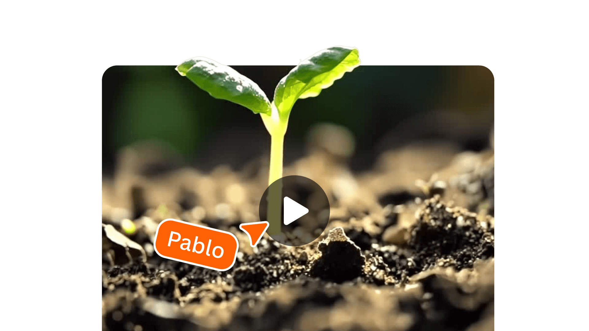 Design School - Learn design with Canva