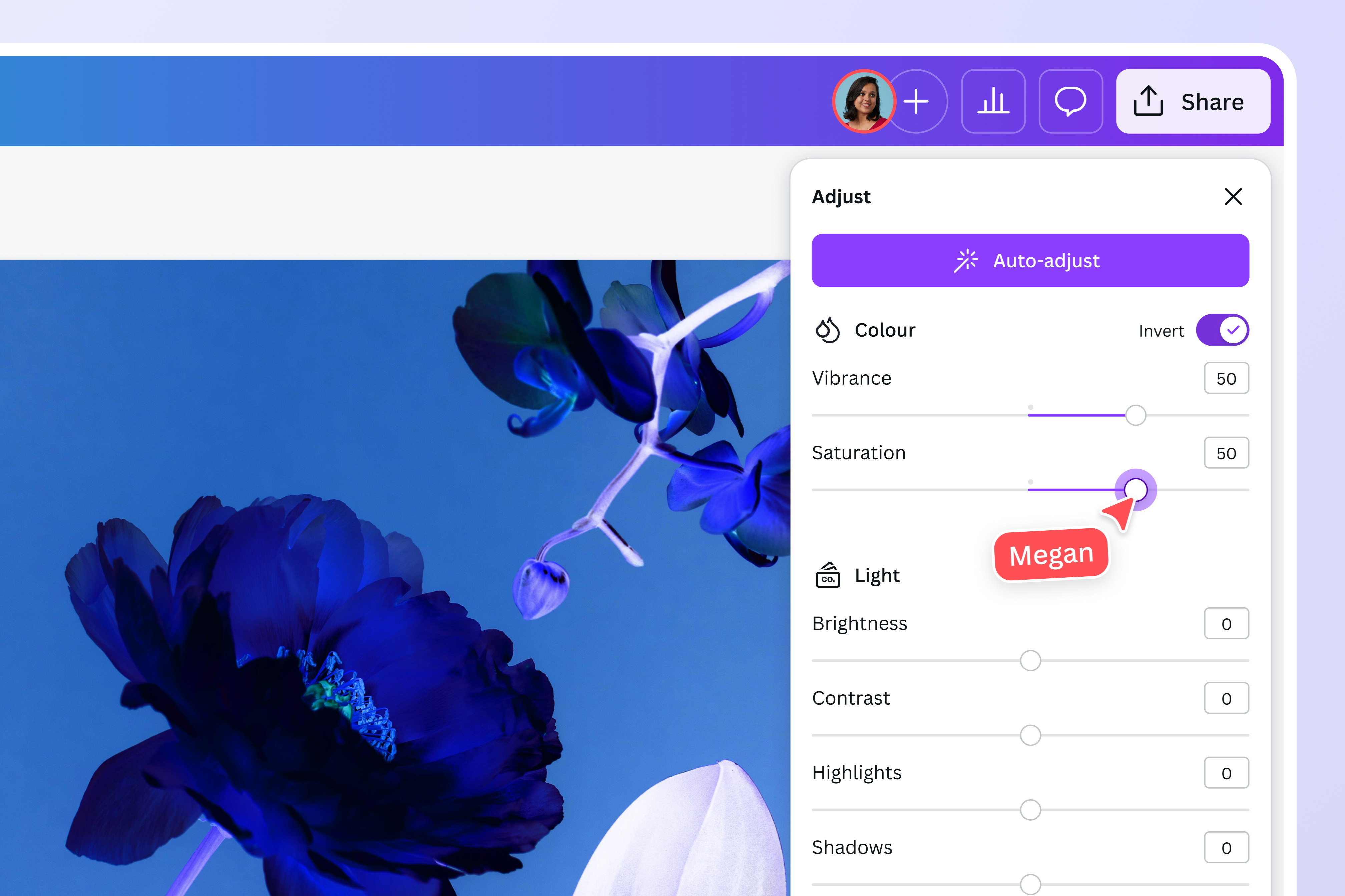 Invertir colores de imagen gratis en línea | Canva