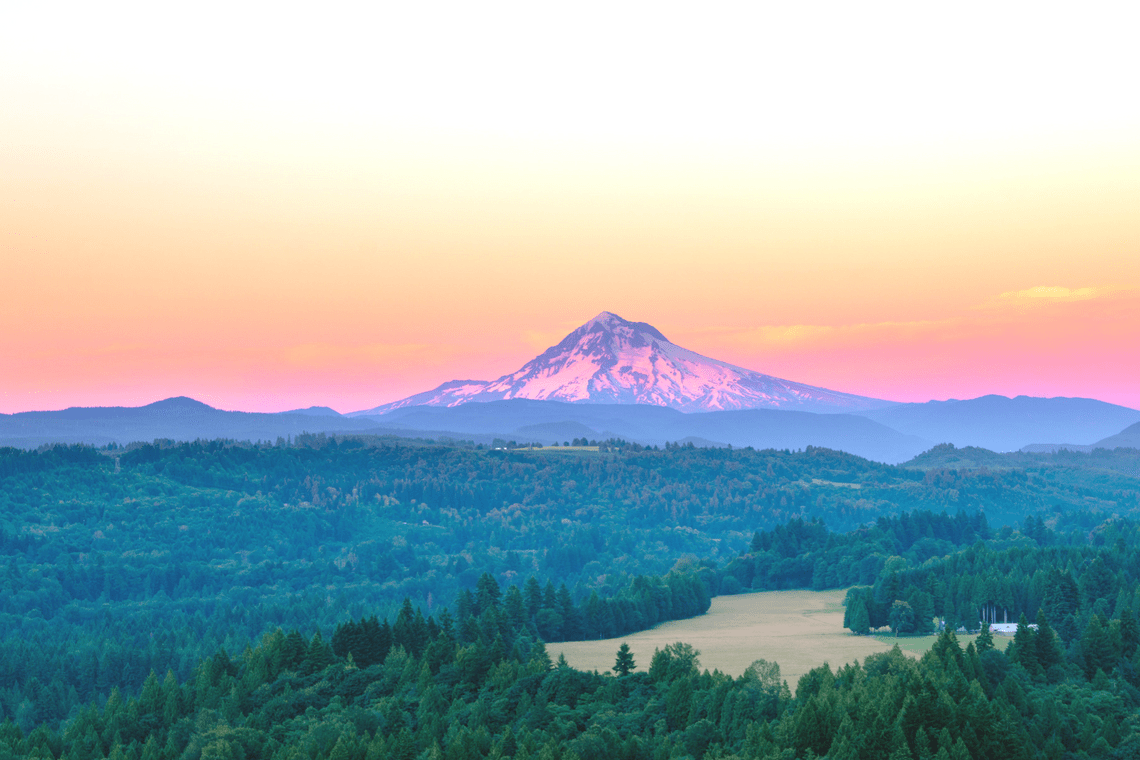 Color Combination Scintillating Sunrise - Canva's Design Wiki