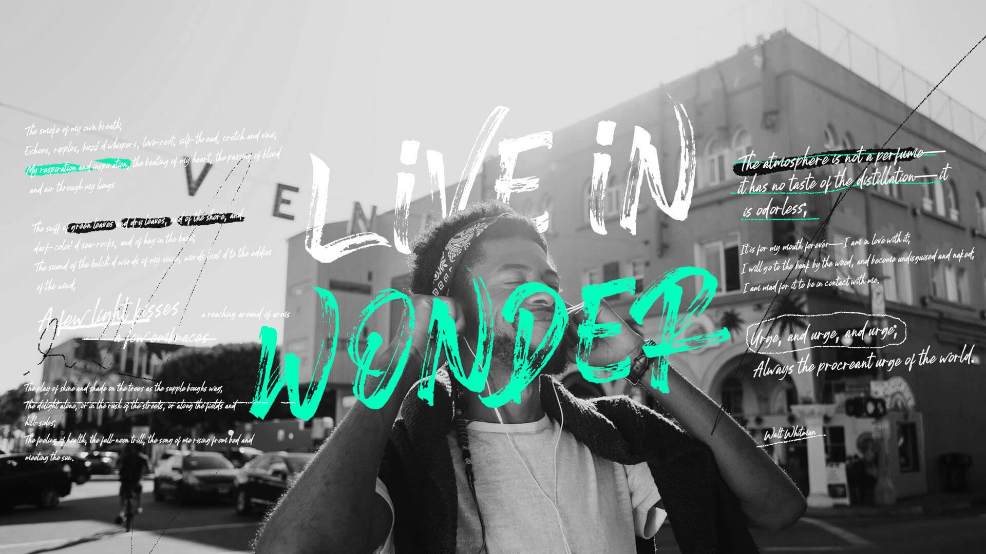 60 free lettering fonts | Canva